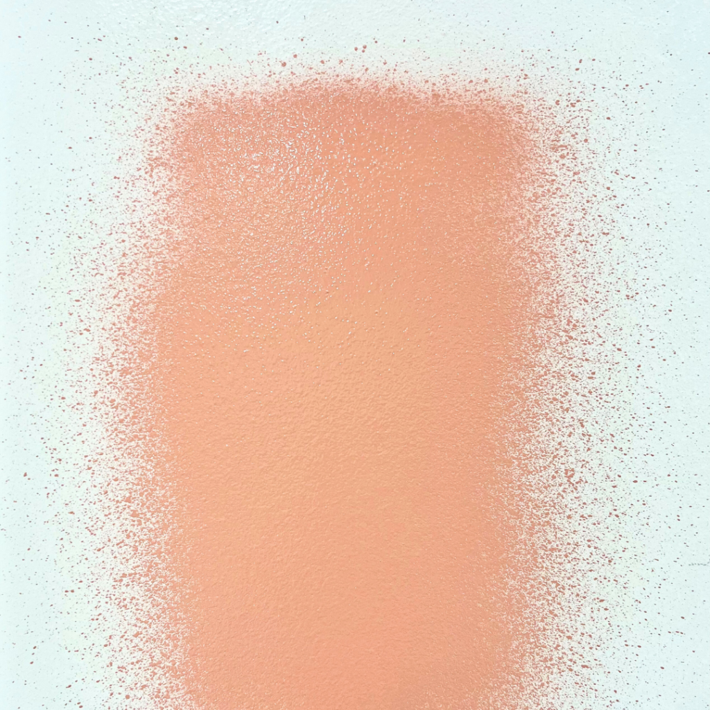 FLEXiO 2500 Product Support - Wagner SprayTech