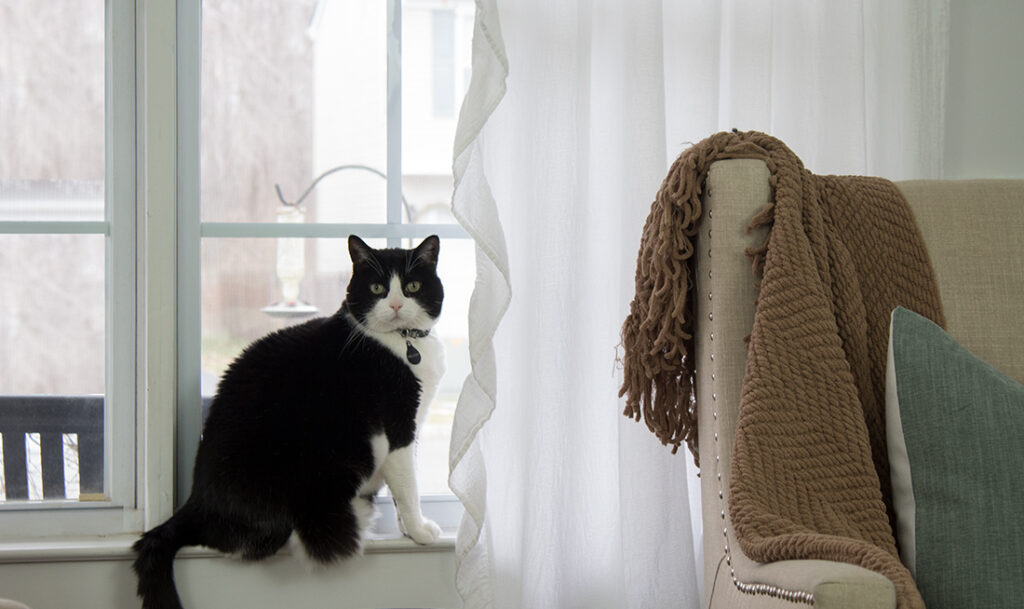 How to Steam Curtains - Wagner SprayTech
